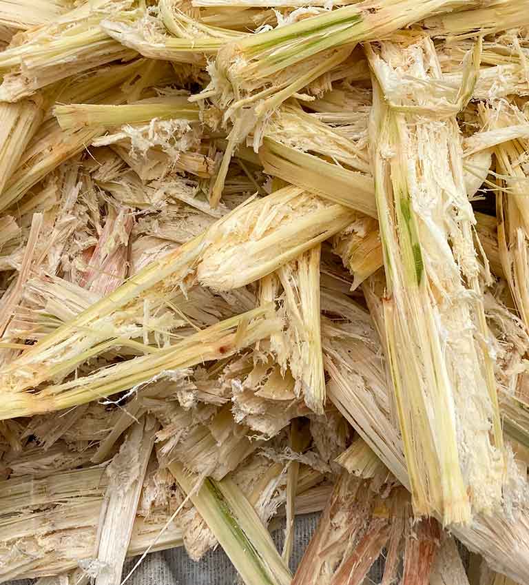 Social Print Paper | Sugar Sheet | Carbon-Neutral Copy Paper